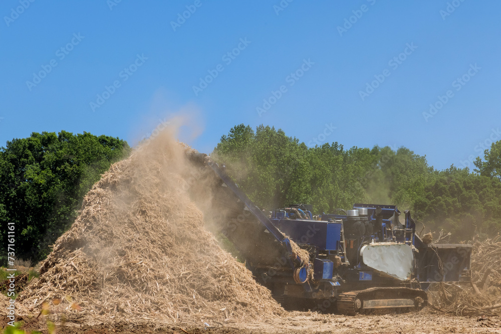 Foto de As forestry mulcher loads roots trees into industrial shredder ...