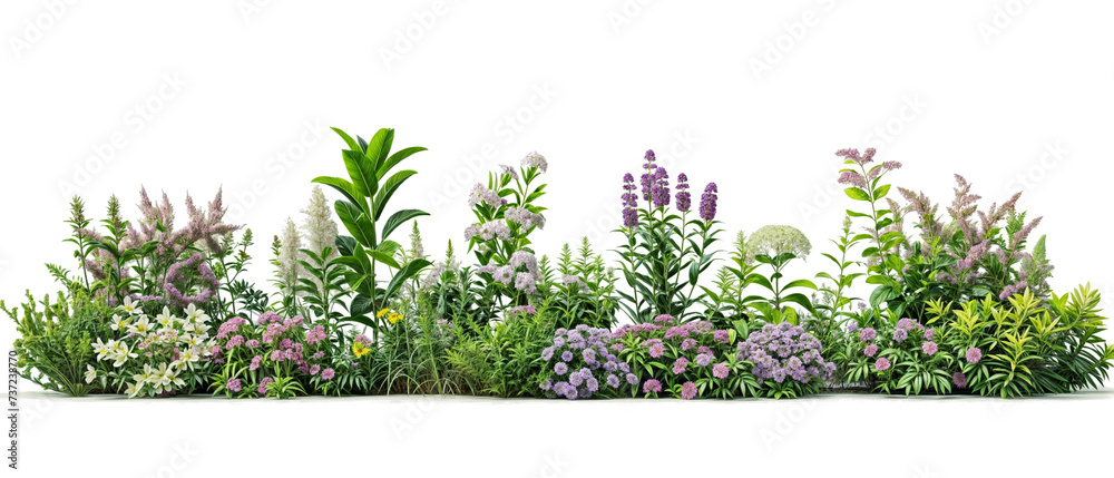 plant and flower garden PNG transparent background Stock Illustration ...
