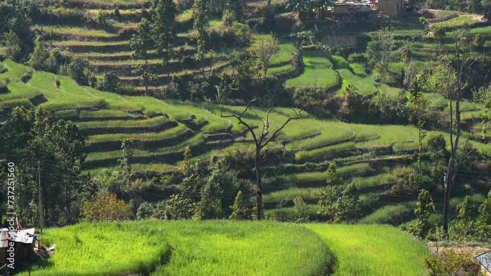 Discover the serene beauty of Surkhet Valley in Nepal, where rustic ...