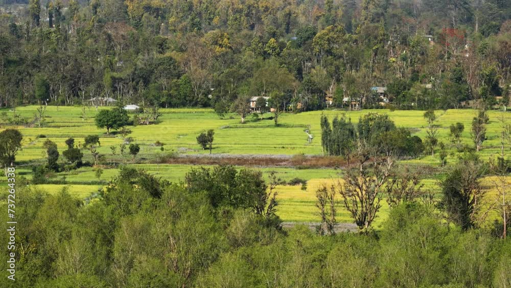 Discover the serene beauty of Surkhet Valley in Nepal, where rustic ...