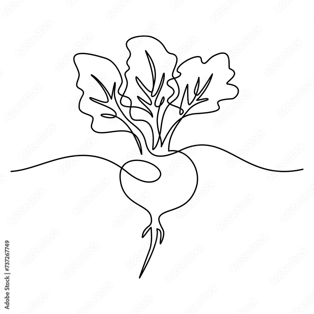 Beetroot in continuous line art drawing style. Garden beet black linear ...