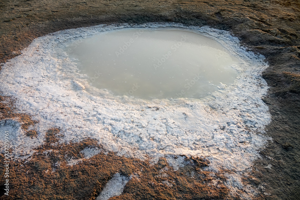 Subsidence funnels on salt marsh are filled with lakes of diverse ...
