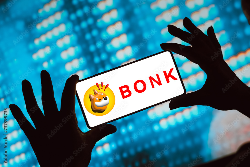 February 15, 2024, Brazil. In this photo illustration, the Bonk logo is ...