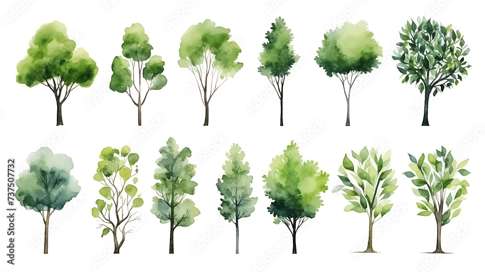 Set of watercolor green tree isolated on white background for landscape ...
