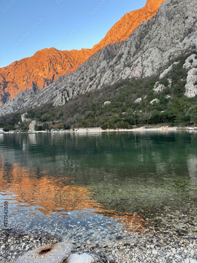 Palm trees, silver sunset sea, romantic sunset, look like pineapples ...