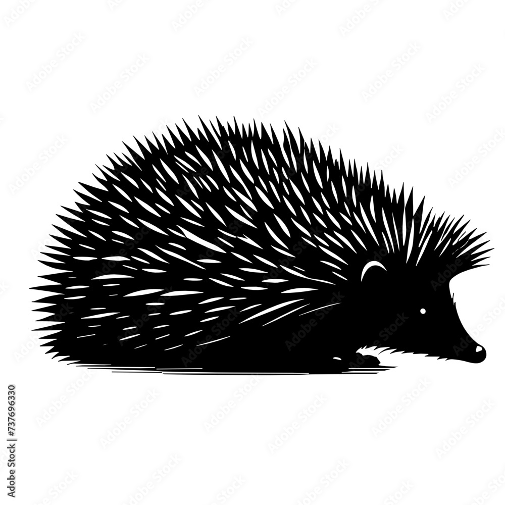 Vetor de Cute Hedgehog , Hedgehog Svg, Hedgehog Cut File, Hedgehog ...