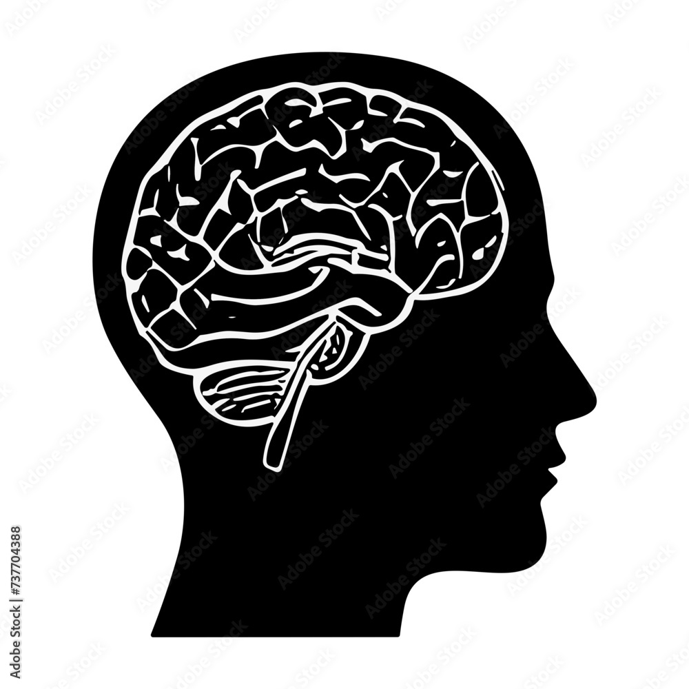 Brain, Brain Anatomy, Brain Illustration, Brain network, Neural Brain ...