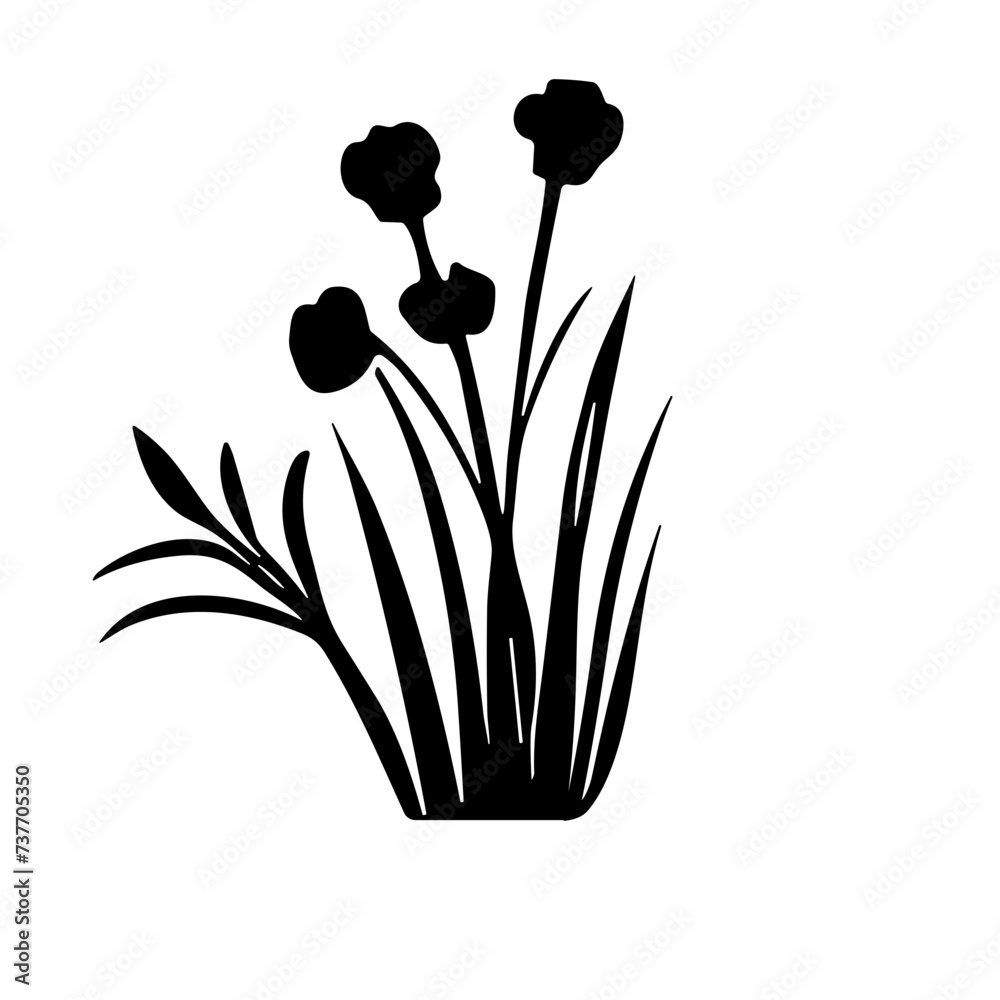 Vetor do Stock: Wild Grass, Grass , Lawn, Botanical Grass, Grass Svg ...