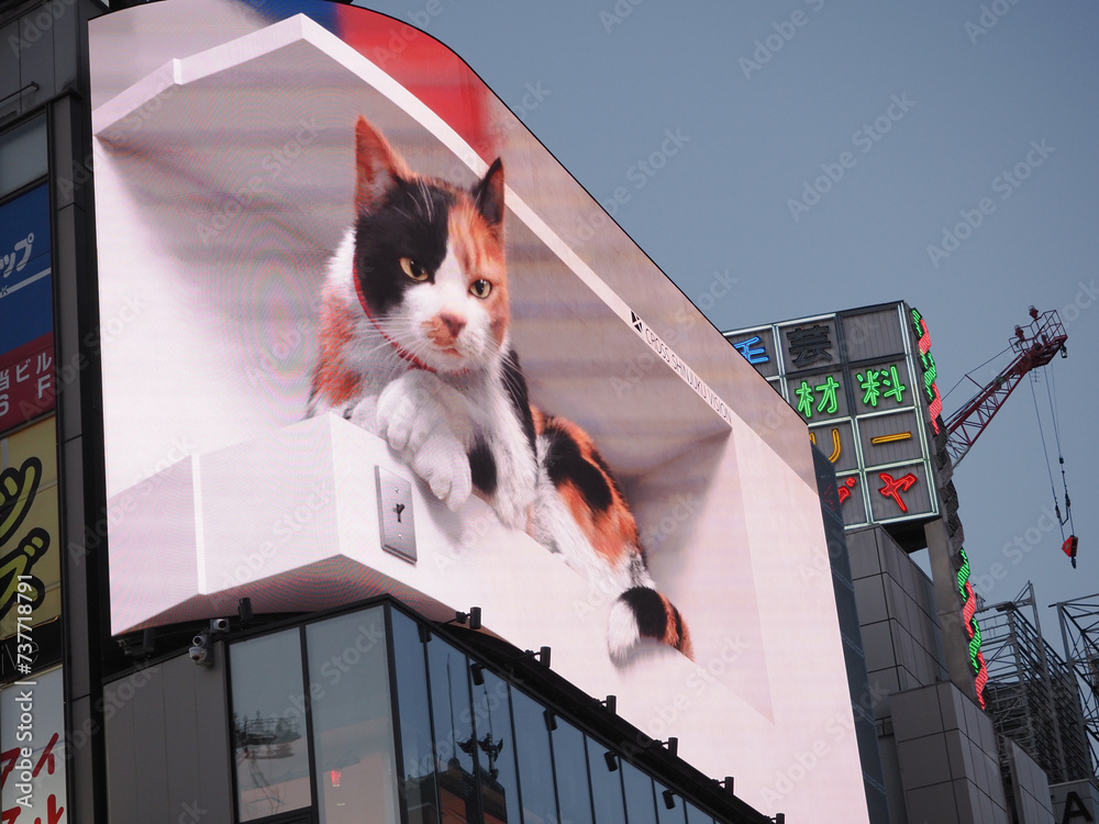 TOKYO, JAPAN - January 19, 2024: A 3D billboard featuring a cat on a ...