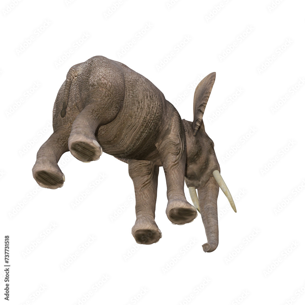 Elephant rendered in different poses and angles. 3D model, PNG. Stock ...