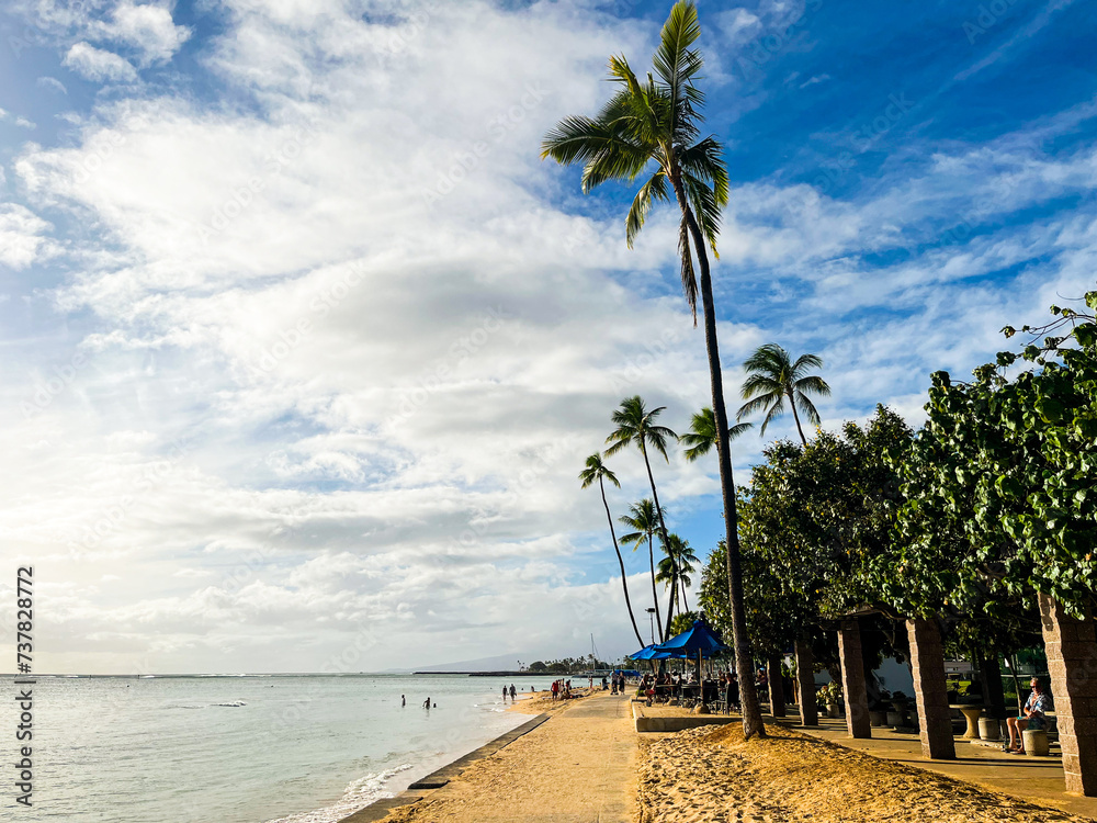 Beach landscape in Hawaii with palms and golden sand. A peaceful ...
