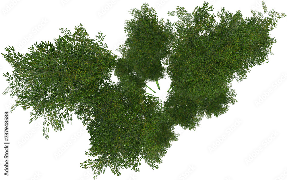 Realistic individual Trees top view for landscape plan isolated white ...