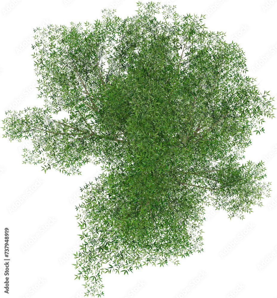 Realistic individual Trees top view for landscape plan isolated white ...