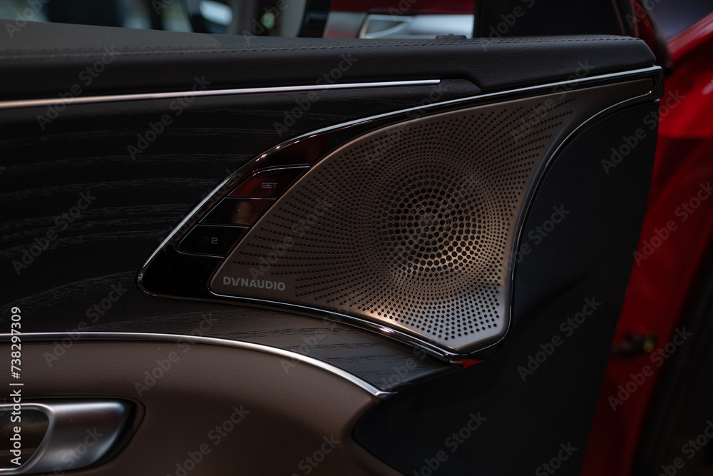 part of Interior of BYD Han EV, ergonomic Dynaudio speaker digital ...
