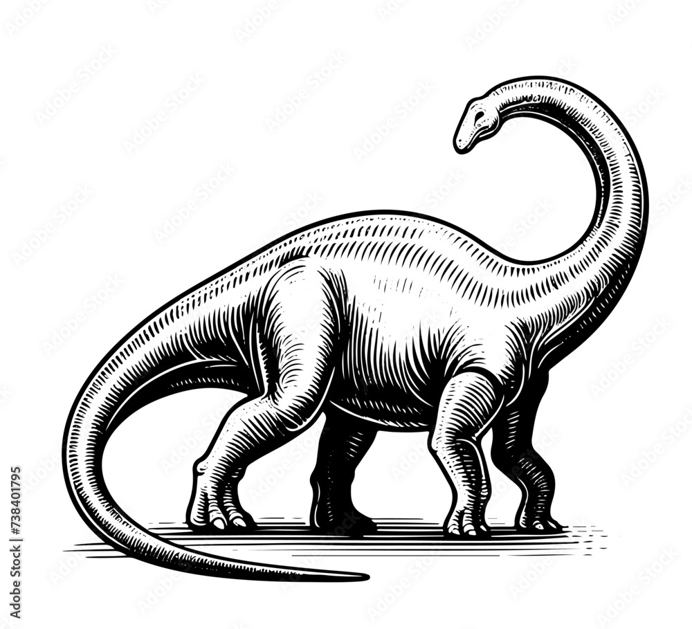 Brachiosaurus hand drawn illustration vector graphic Stock Vector ...