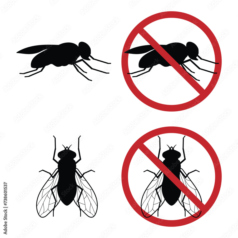 Housefly on a white background. Flies symbol in shadow form. House ...
