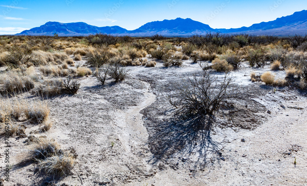 Gypsum crystals in the desert at the bottom of a former dried up ...