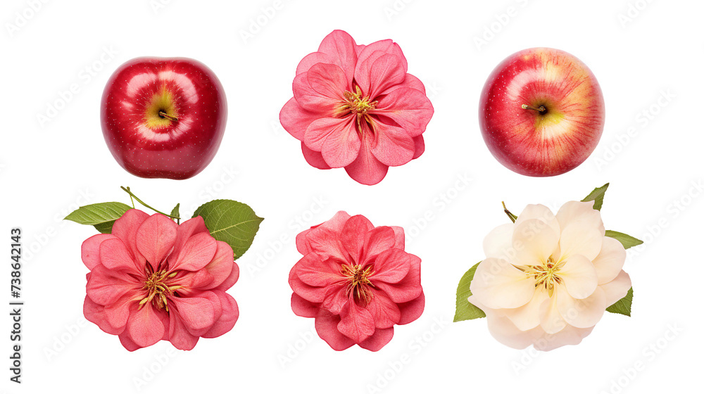 apples on transparent background - a versatile design element for food ...