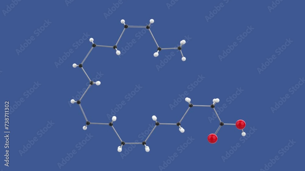 Alpha-linolenic acid, Omega 3 ALA 3D molecule structure loop animation ...