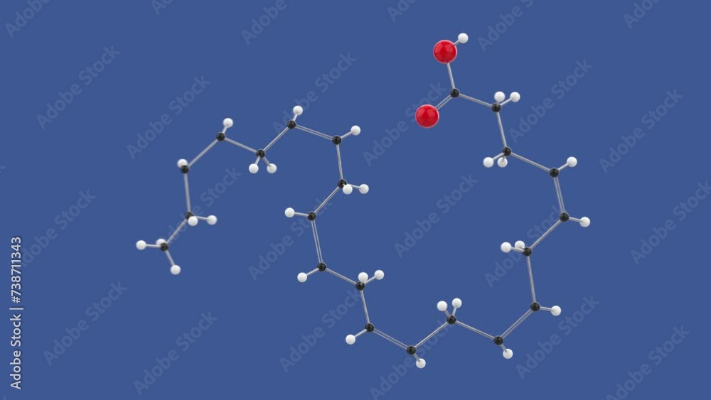 Docosahexaenoic acid, Omega 3 DHA, 3D molecule structure loop animation ...