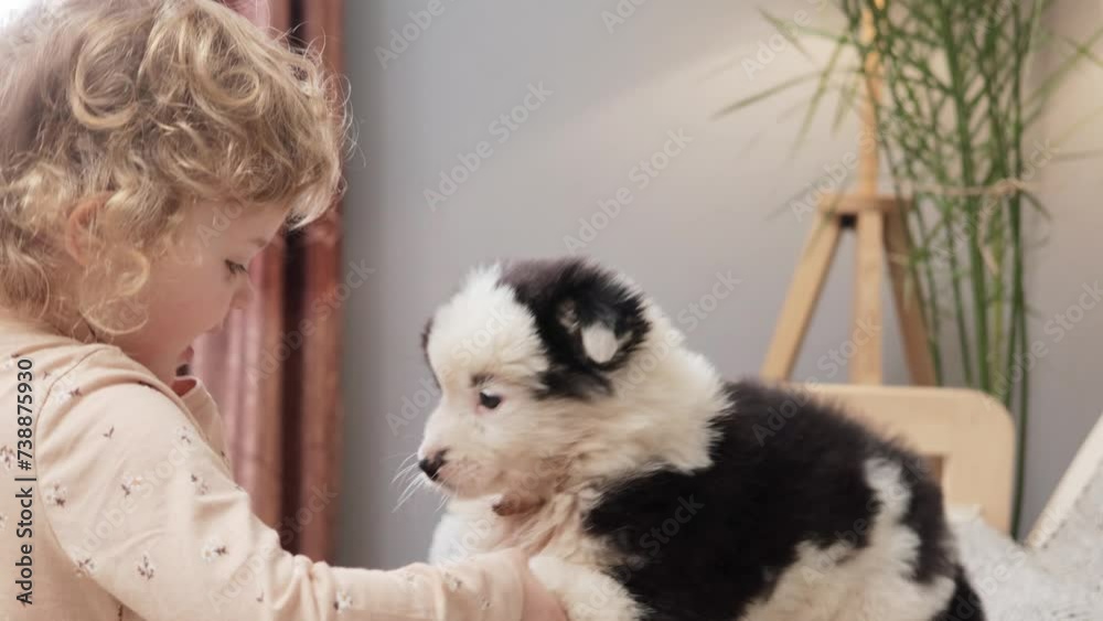 Charming wavy haired blonde little girl playing with white dog with ...