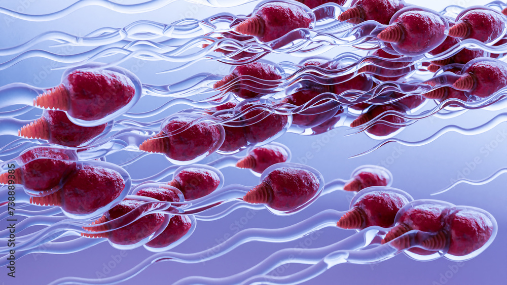 human Sperm Swim to Ovum Cell for natural fertilization and ...