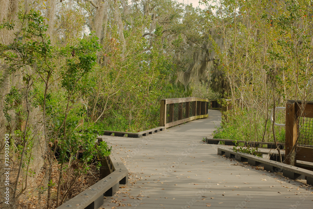 Boca Ciega Millennium Park flat wood boardwalk in Seminole, Florida ...