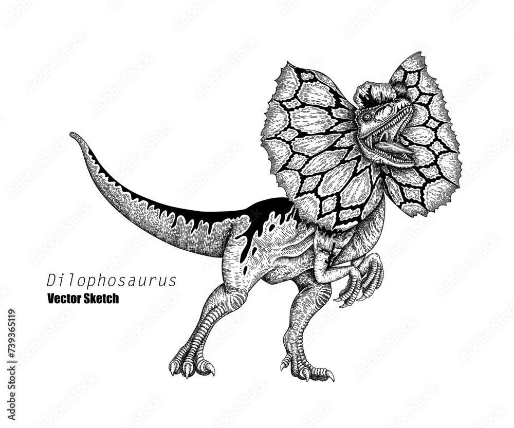 Dilophosaurus. Dinosaur sketch drawing. Black and white. Hand drawn ...