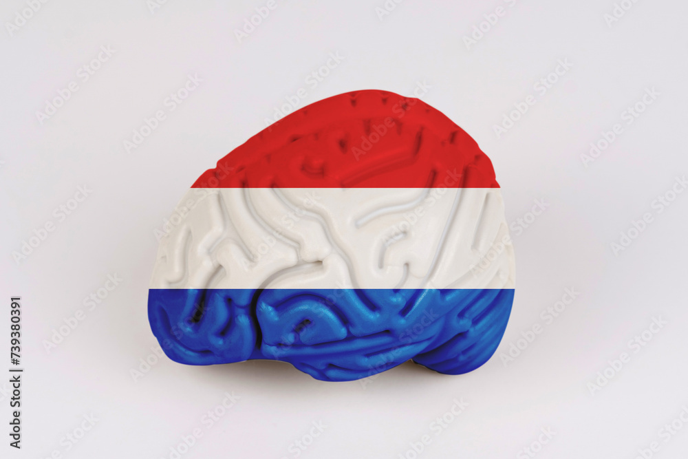 On a white background, a model of the brain with a picture of a flag ...
