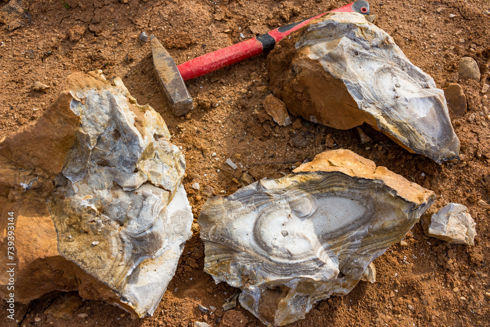 Large flint nodule split into pieces by a hammer Stock Photo | Adobe Stock