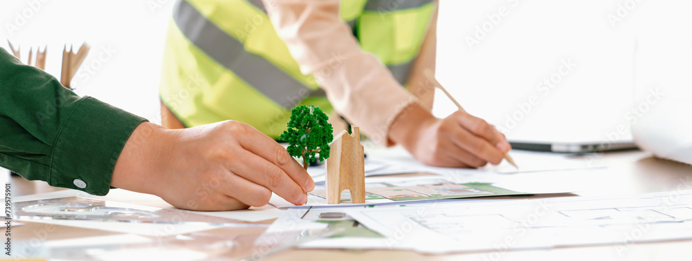 Professional architect and engineer collaborate to design eco-friendly ...