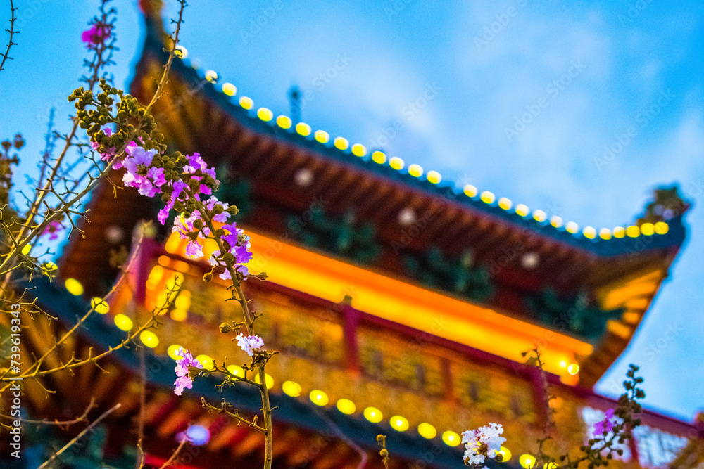 A little beauty flower with the Old Shanghai backdrop. It is known as ...
