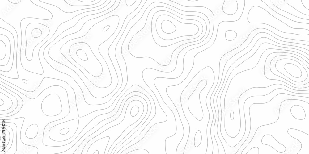 The stylized height of the topographic map in contour, lines ...