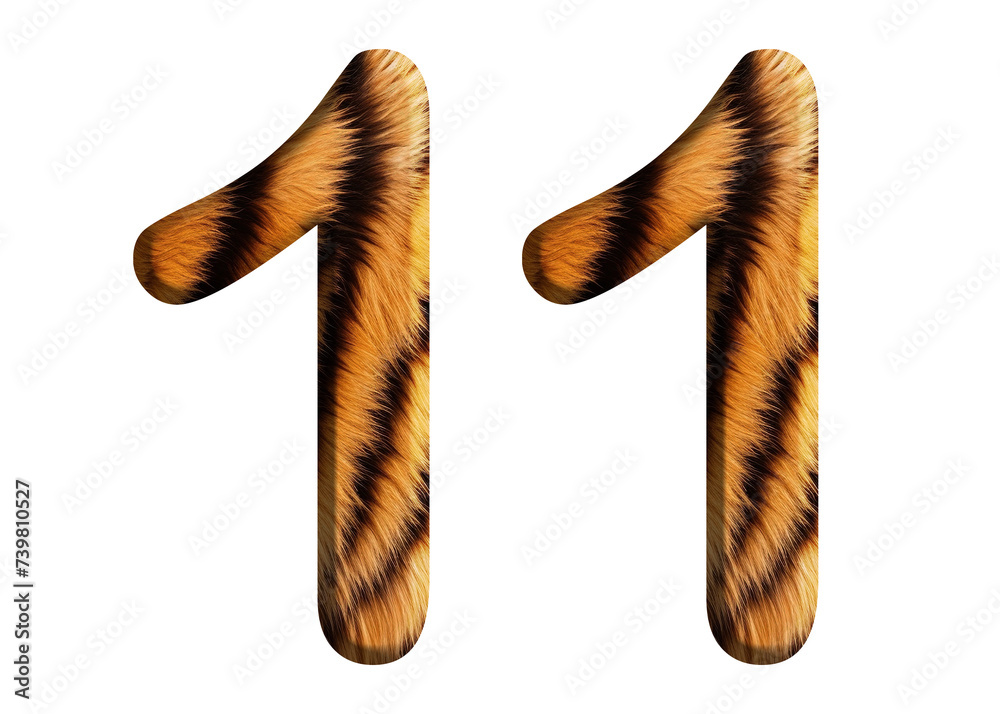 The shape of the number 11 is made of tiger fur or tiger skin isolated ...