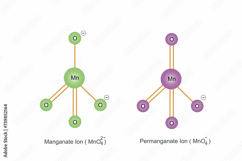 Manganate is a green, oxidizing agent.Permanganate is purple, powerful ...