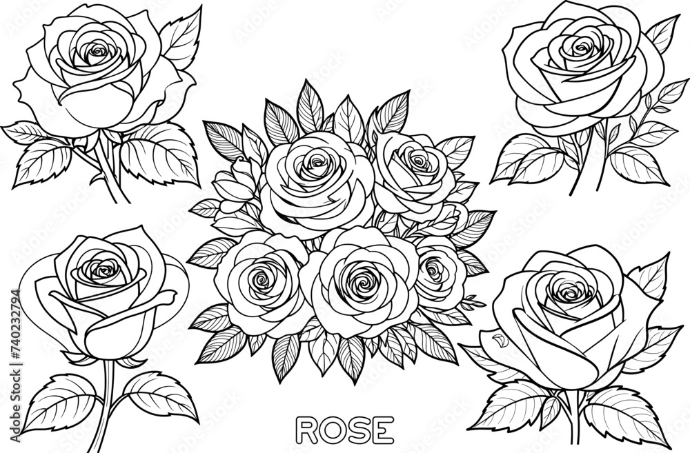 set of roses vector hand-drawn outline and coloring page design Stock ...