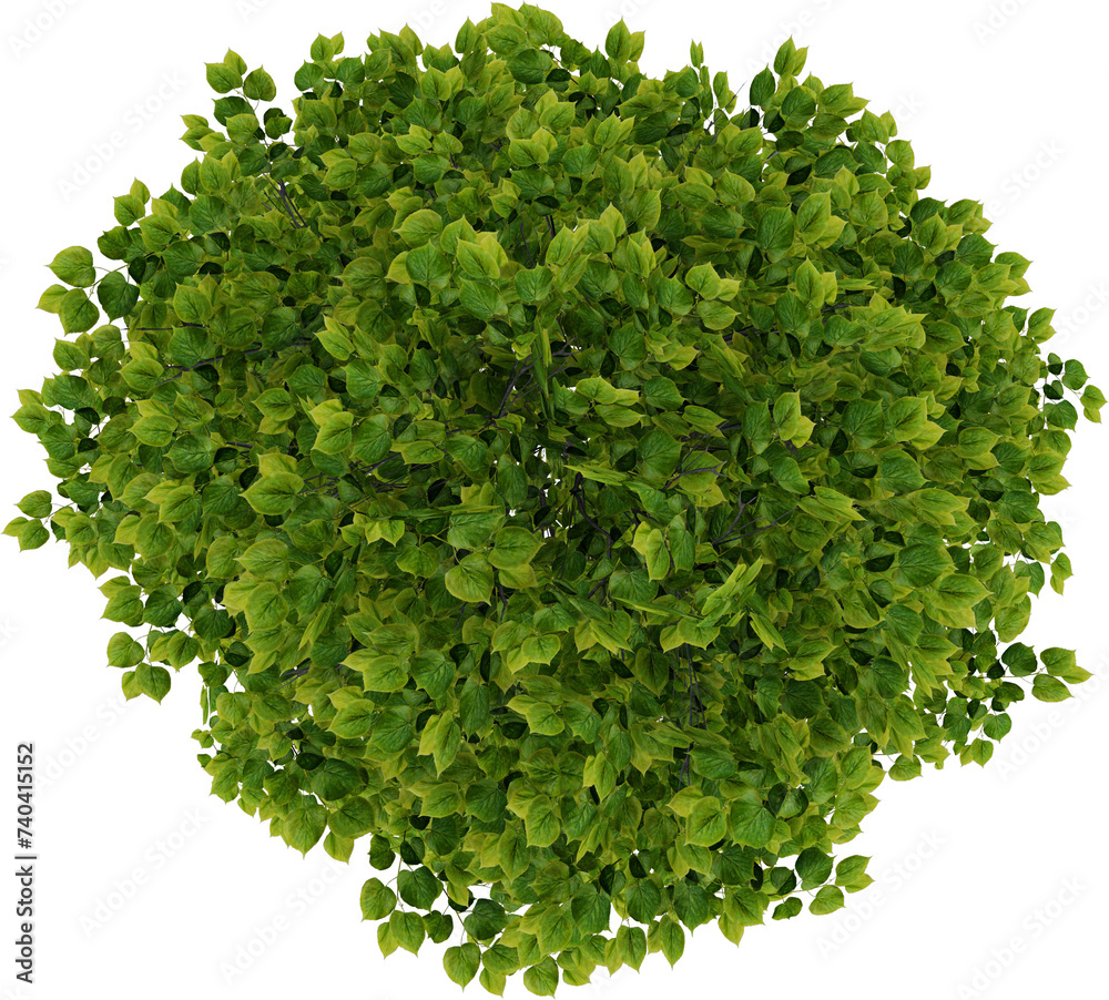 isolated 3D Tree Shrub Canopy Illustration Render with white background ...