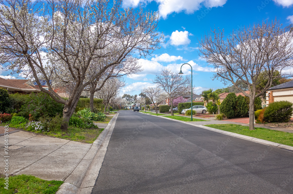 A road in the residential suburb lined with street trees and family ...
