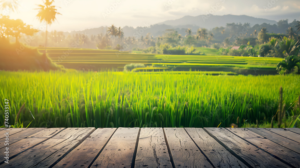 Wooden table top on blur rice field background in morning .beautiful ...