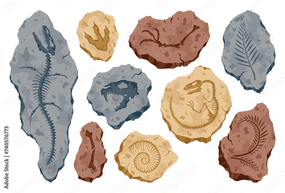 Archeology fossil stones with prints of Jurassic dinosaur bones and ...