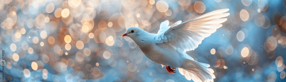 Conducting symphonies conductor dove concert hall evening baton ...