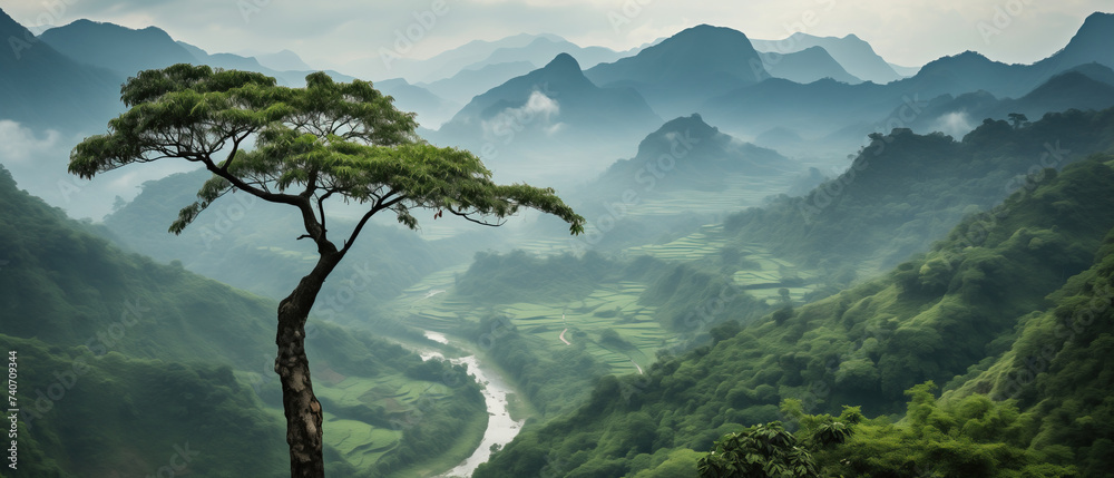 In the midst of a sprawling valley, a single tree stands as a symbol of ...