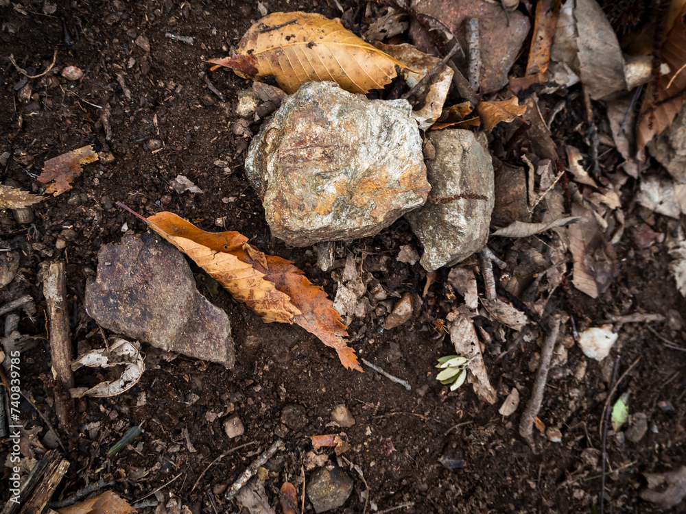 imagen detalle textura suelo de tierra húmeda con hojas secas y piedras ...