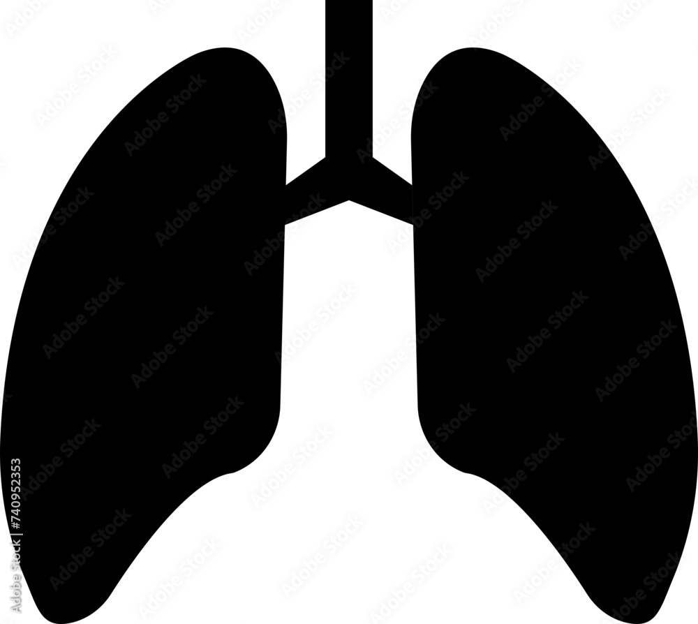 Human lungs, realistic anatomical model. Internal organs isolated on ...