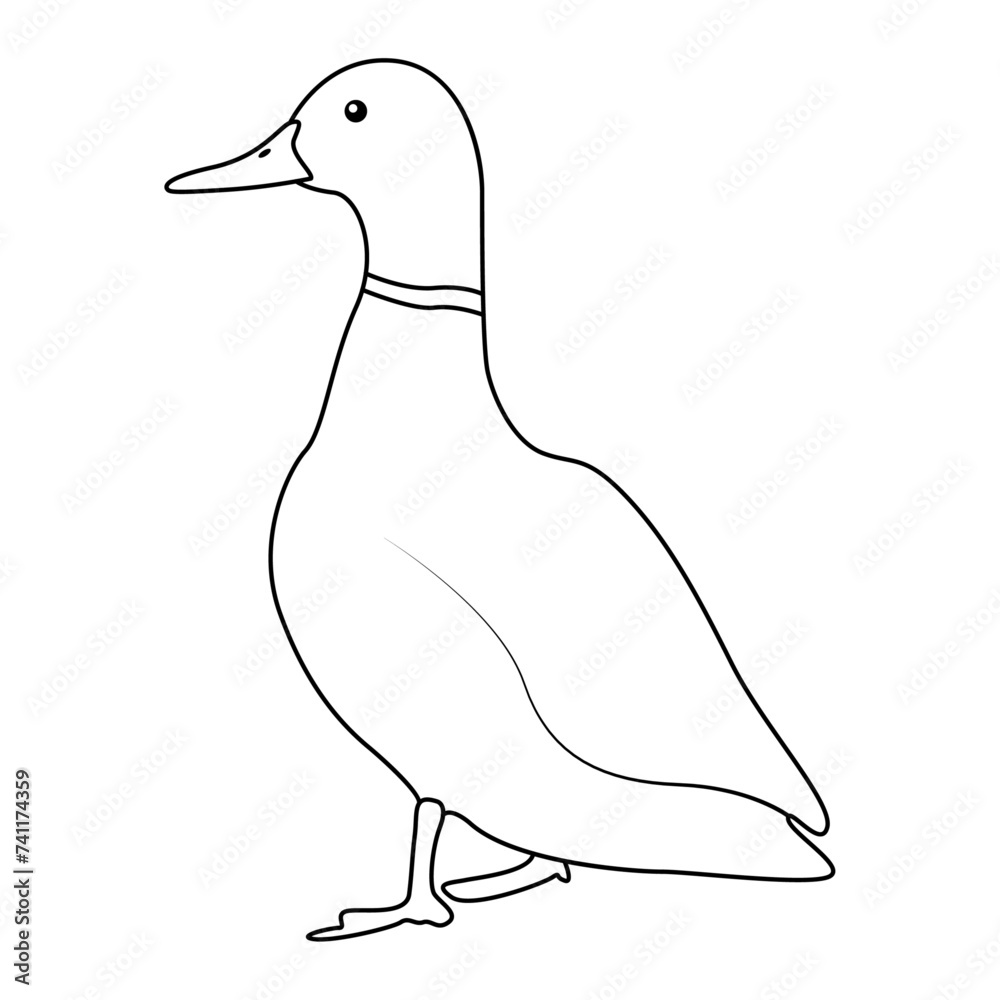 Duck outline simple icon duck water bird continuous line art vector ...