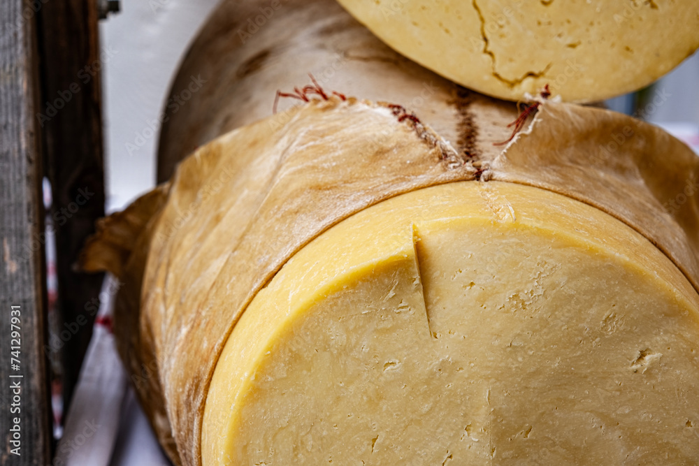 Traditional sheep cheese from Romania, known as bellows cheese in cow ...