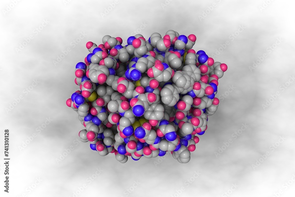Insulin, monoclinic crystal form. Space-filling molecular model on grey ...