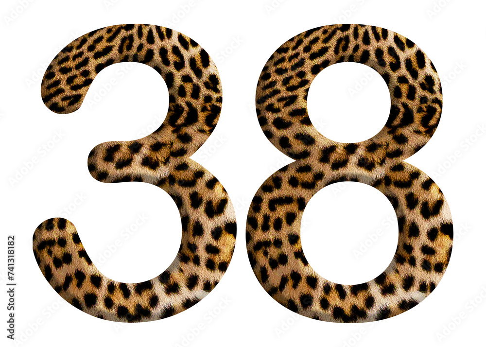 The shape of the number 38 is made of leopard fur or skin isolated on ...