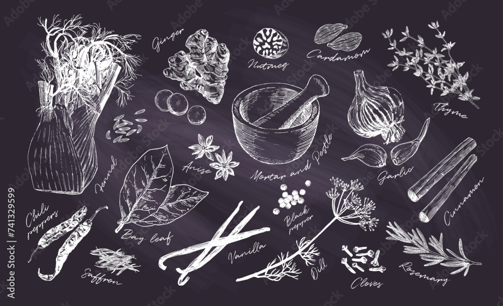 Hand drawn collection of popular herbs and spices. Culinary poster for ...