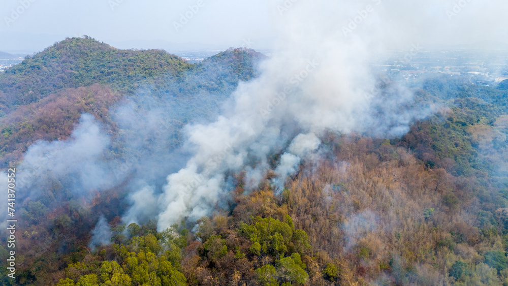 Wildfires or forest fire burning with a lot of smoke with Particulate ...